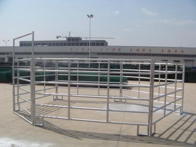 Cina Livestock Cattle 1.6m Metal Farm Gate Galvanized Steel Pipe Design in vendita