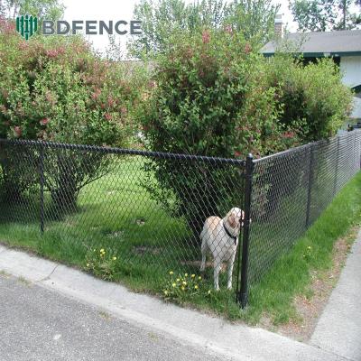 Cina Hardware Stadio Giamaica Diamond Chain Link Fence Round Post in vendita