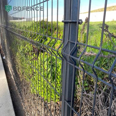 중국 레인포레스트 V 메시 보안 울타리 곰팡이 방지 판매용