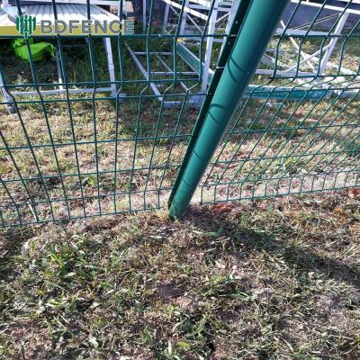 China Budget V Mesh Security Fencing Basic Protection for sale