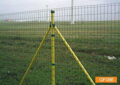 China High Spec Security PVC Coated Metal Holland Wire Mesh for sale