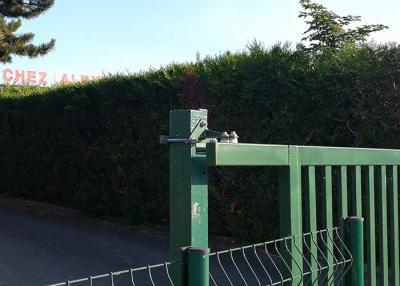 Cina La polvere ha ricoperto il recinto Gate del giardino del metallo dei portelli scorrevoli in vendita
