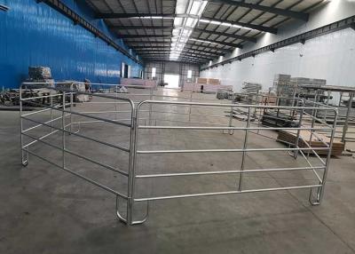 Cina Australia Tipo 1.8m Pannelli per corral bovino in vendita
