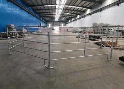 Cina Australia Tipo 1.8m Pannelli per corral bovino in vendita