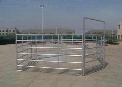 Cina Australia Tipo 1.8m Pannelli per corral bovino in vendita