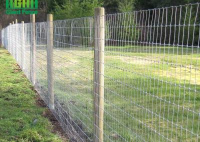Cina Pannelli di Mesh Fixed Knot Livestock Fence del filo di acciaio di HGMT in vendita