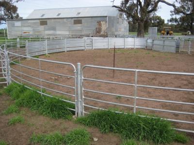 China Galvanized Temporary Mobile 1.7m Corral Fence Panels for sale