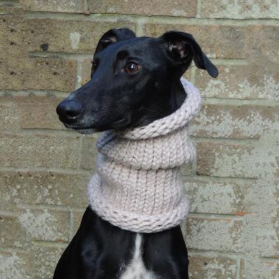 China Y-Z Greyhound Lurcher Whippet Dog Snood Neck Warmer Hat Handmade Chunky Yarn Scarf for Dog for sale