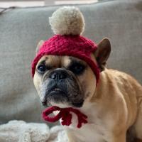 Quality Y-Z Dog Clothing Accessories Handmade Dog Beanie with Pom Pom Crochet Knit Dog for sale