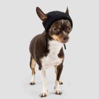 Quality Y-Z Wholesale custom logo designer knitted adjustable winter warm funny dog for sale