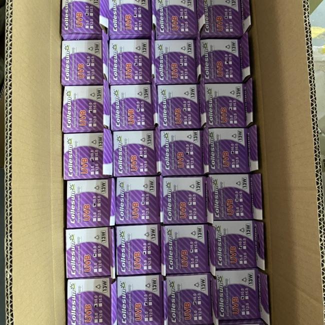 CFL UVB Reptile Light Bulb - Package