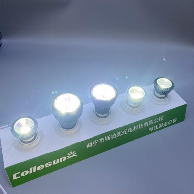 Reptile UVB light in use with chameleon habitat