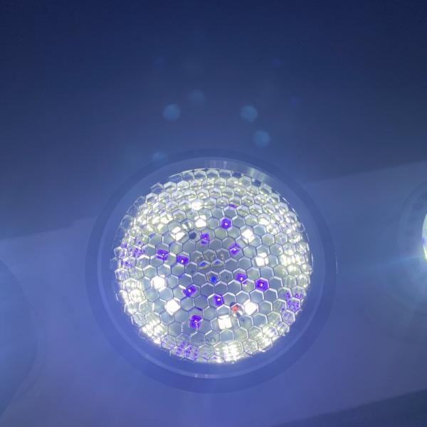 Quality Full Spectrum Uva Uvb Lamps For Tortoises Chameleon 110V-220V for sale