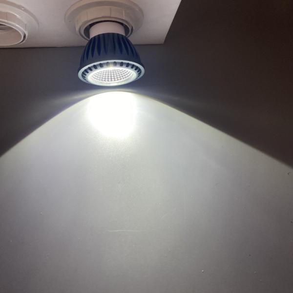 Quality 20000H 3W Sun Lamp For Turtle Amphibians Tortoise Heat Lamp Bulb for sale