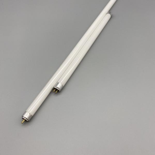 Quality 8W T5 Ho Linear Reptile Tube Light Fixture 220V 110V For Bearded Dragon for sale