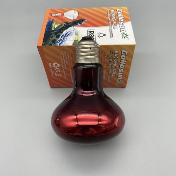 Quality E27 Reptile Heat Lamp 50W 75W 100W 150w Basking Bulb For Bearded Dragon for sale