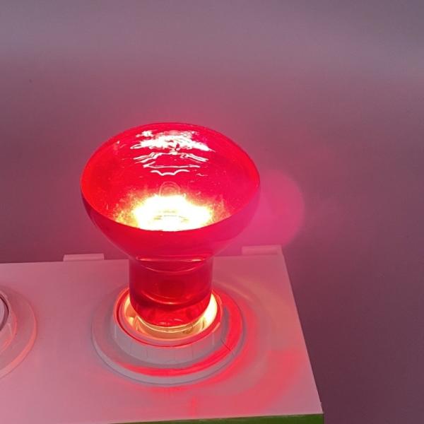 Quality E27 Reptile Heat Lamp 50W 75W 100W 150w Basking Bulb For Bearded Dragon for sale