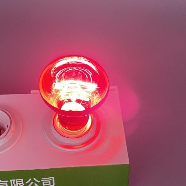 Quality Collesun E26 E27 Infrared Turtle Heat Lamp 220V 110V 75 watt reptile bulb for sale