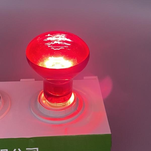 Quality Night Infrared Reptile Basking Light E26 E27 100 Watt Reptile Bulb for sale