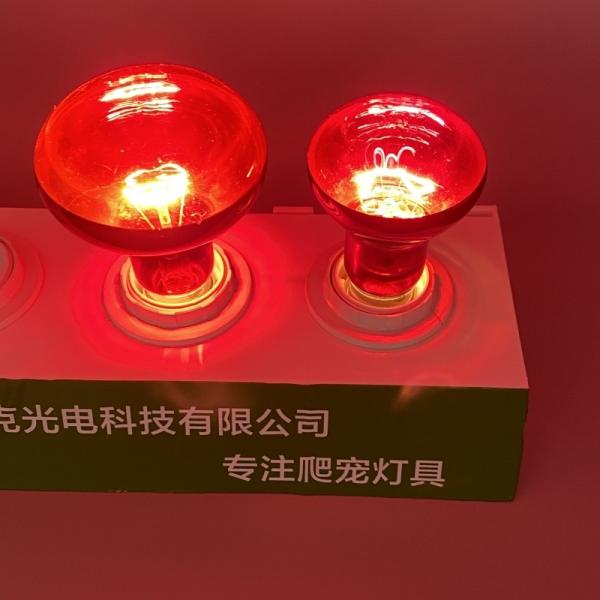 Quality Night Infrared Reptile Basking Light E26 E27 100 Watt Reptile Bulb for sale