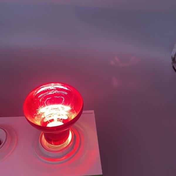 Quality Night Infrared Reptile Basking Light E26 E27 100 Watt Reptile Bulb for sale