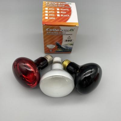 China R63 R80 75W Spot Reptile Heat Lamp For Amphibian Bearded Dragon Lizard Tortoise Spider Snake Chameleon for sale