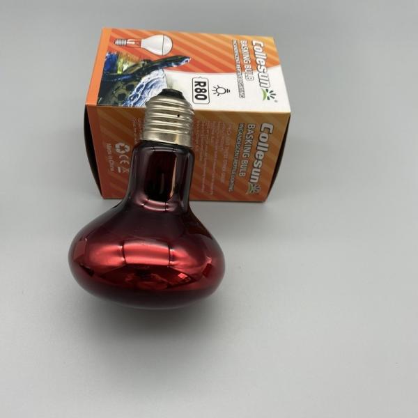Quality R63 R80 75W Spot Reptile Heat Lamp For Amphibian Bearded Dragon Lizard Tortoise for sale