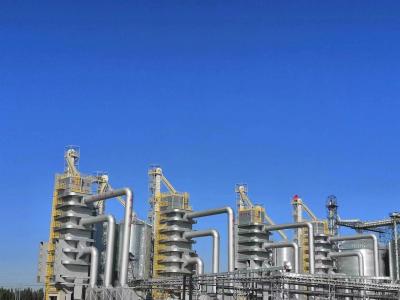 China Maize Dryer For Multi Temperature Zone And Concurrent Flow Drying Process for sale