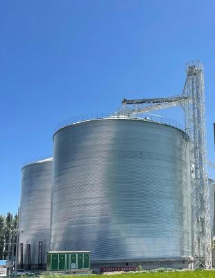 China Vertical Design Steel Grain Silo Maximize Storage in Limited Spaces with 24/7 Installation for sale