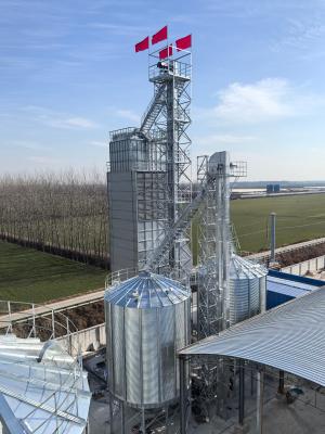 China Máquina de secagem de arroz em vários estágios de remoção uniforme de umidade para a integridade ideal do grão à venda