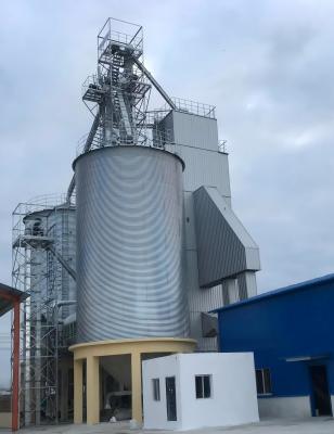 China Aumente sua colheita com o controle de umidade do equipamento de secagem de arroz e redução do tempo de secagem à venda