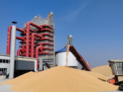 China Hot-air Temperature C 65-160 Tower Dryer for Counterflow Grain Drying Performance for sale