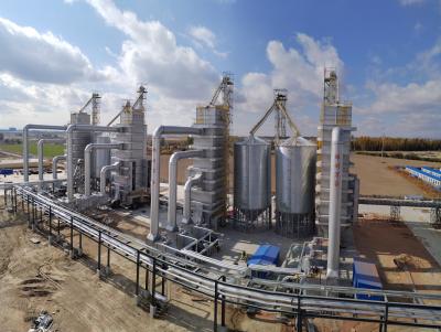 China Multi purpose grain dryer with low broken rate and uniform drying for sale