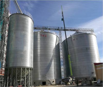 China Good anti‑corrosion performance and long service life safe grain storage and reduced material loss for sale