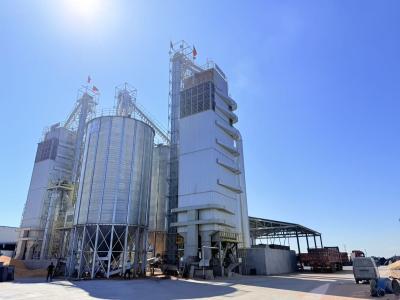 China Mixed‑flow low‑temperature drying, intelligent control low breakage uniform drying for outdoor installation for sale
