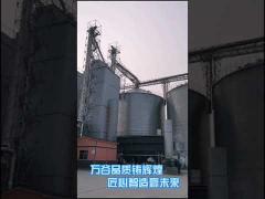Fully Automatic Control Corn Dryer Machine 200 Ton Capacity Corn Raw Material
