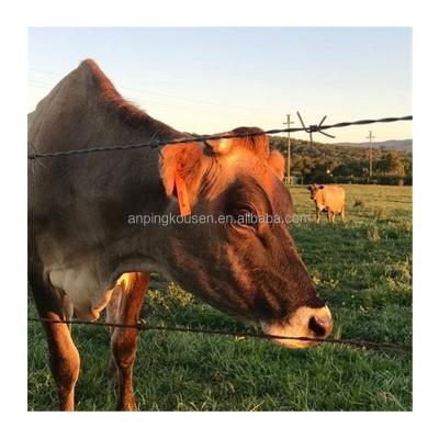 Cina 1.5-3cm Barba Lunghezza rasoio croce robusto contorto filo spinato durevole per frutteto / fattoria in vendita