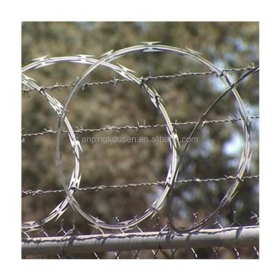 China 7.5cm-15cm Barbe Distância Galvanizado fio de ferro Razor Barbed Wire para recinto de animais à venda