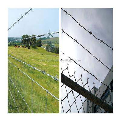 China 7.5cm-15cm Barbe Distância Galvanizado fio de ferro Razor Barbed Wire para recinto de animais à venda