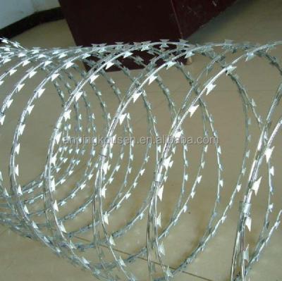 China 7.5cm-15cm Barbe Distância Galvanizado fio de ferro Razor Barbed Wire para recinto de animais à venda