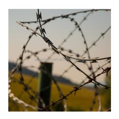 Cina Recinzione a maglia di filo spinato con rasoio rivestito in PVC per la sicurezza delle carceri a prezzi accessibili in vendita