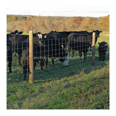 China Comprimento 10-200m Campo agrícola Cercas de arame farpado de gado com design de nó fixo durável à venda