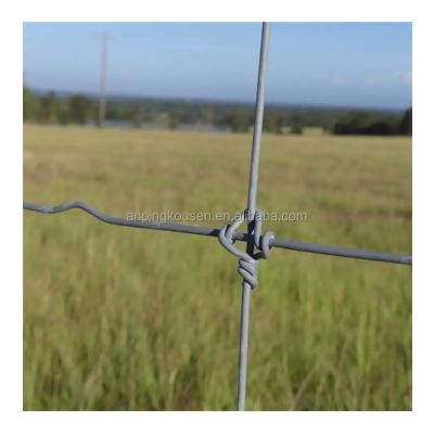 China Comprimento 10-200m Campo agrícola Cercas de arame farpado de gado com design de nó fixo durável à venda