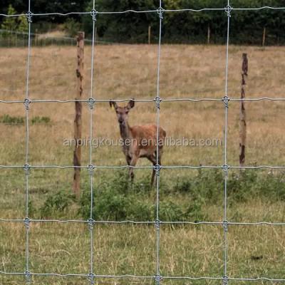 Cina Fence fissa a nodi per animali da allevamento con legname sotto pressione proveniente dalla fabbricazione in vendita