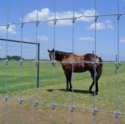 Cina Fence fissa a nodi per animali da allevamento con legname sotto pressione proveniente dalla fabbricazione in vendita