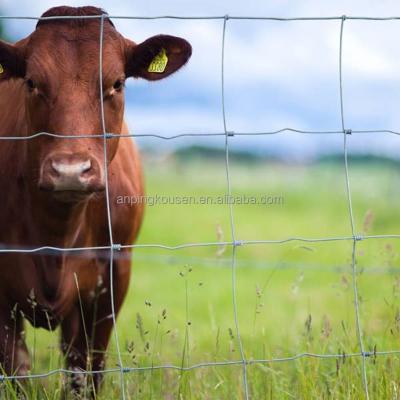 China Gegalvaniseerde scharnieren omheining voor landbouw en veeteelt bescherming in elk klimaat Te koop