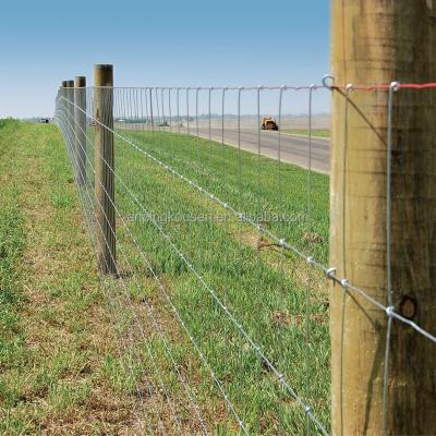 China Gegalvaniseerde scharnieren omheining voor landbouw en veeteelt bescherming in elk klimaat Te koop