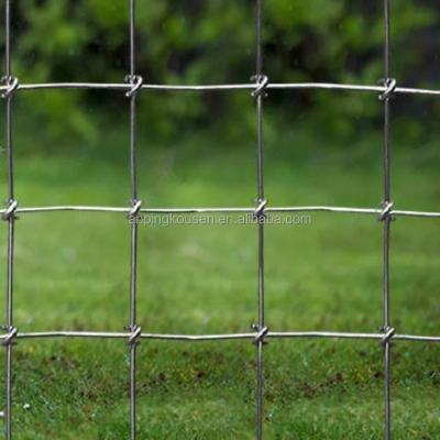 China Gegalvaniseerde scharnieren omheining voor landbouw en veeteelt bescherming in elk klimaat Te koop