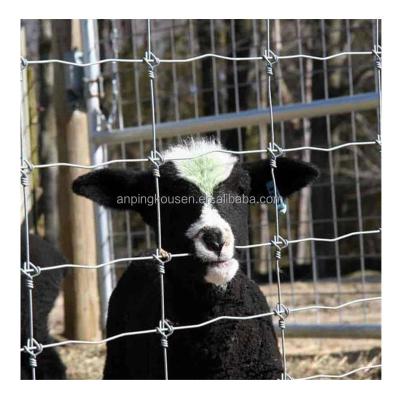 Cina Fence di campo ad alta trazione sostenibile per capre/pecore/cervi con maglia galvanizzata da 2,0 mm a 4,0 mm in vendita