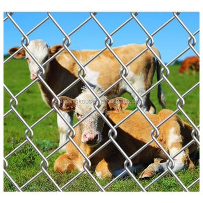 Cina Fence di campo ad alta trazione sostenibile per capre/pecore/cervi con maglia galvanizzata da 2,0 mm a 4,0 mm in vendita
